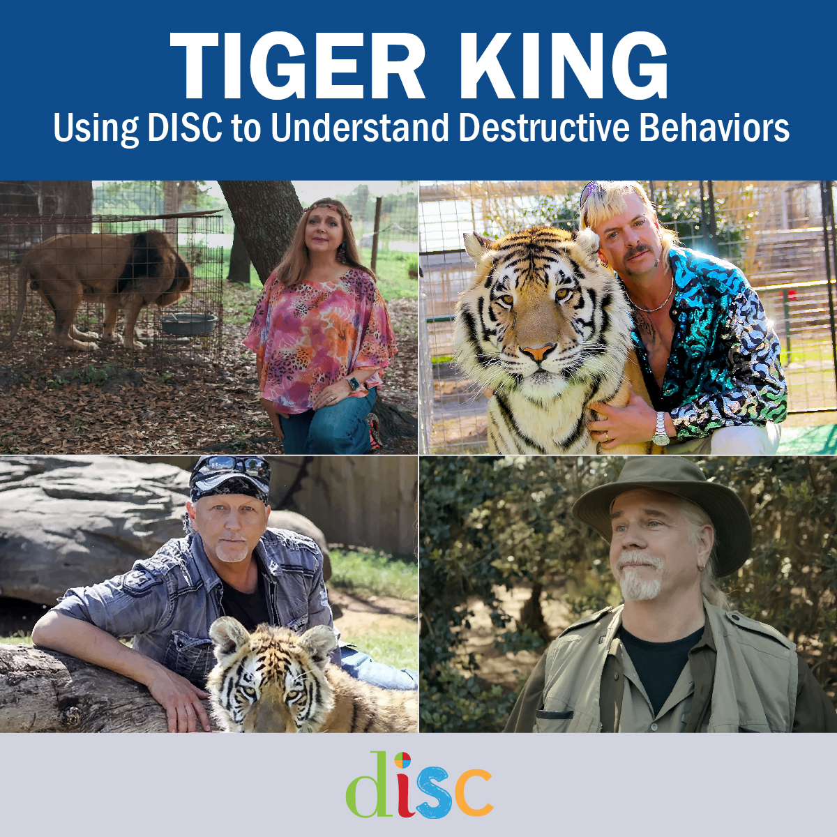 Tiger King: Using DISC to Understand Destructive Behaviors - DISC ...